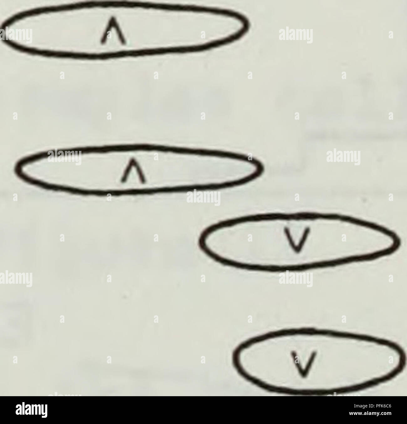 The study on Del Monte Beach profiles examines daily changes in beach ...