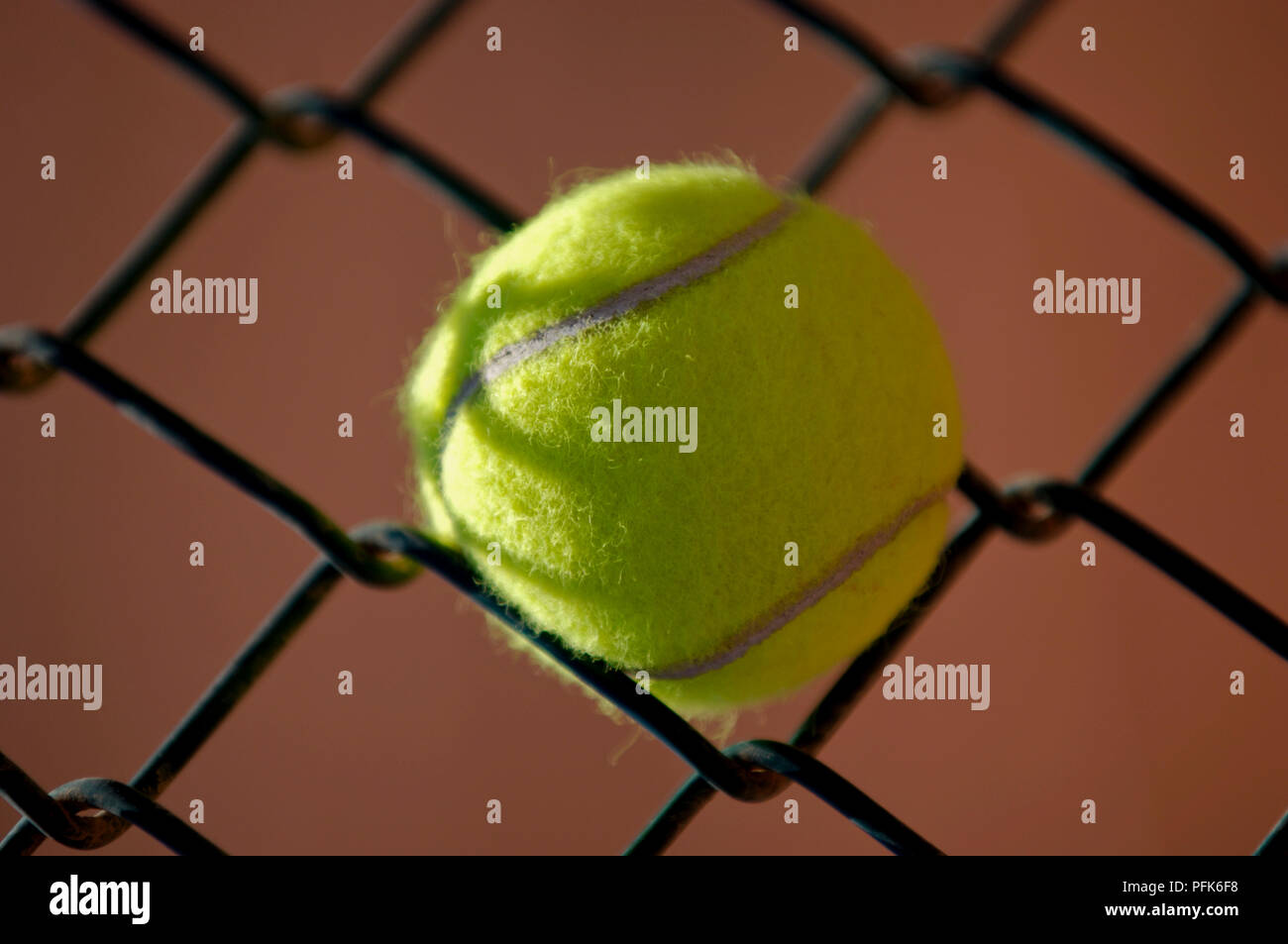 Stuck in the net hi-res stock photography and images - Alamy