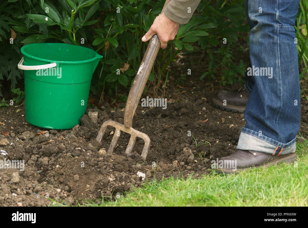 Man forking soil in garden next to plastic bucket, close-up Stock Photo ...