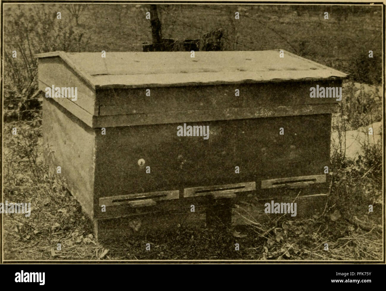 The Dadant system of beekeeping is a method for managing colonies ...