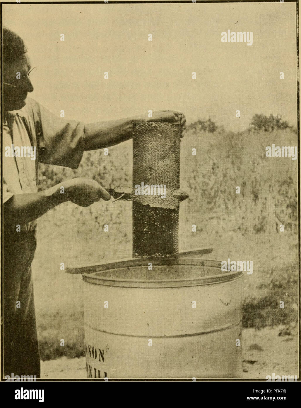 The *Dadant system* of beekeeping is a method for managing hives and ...