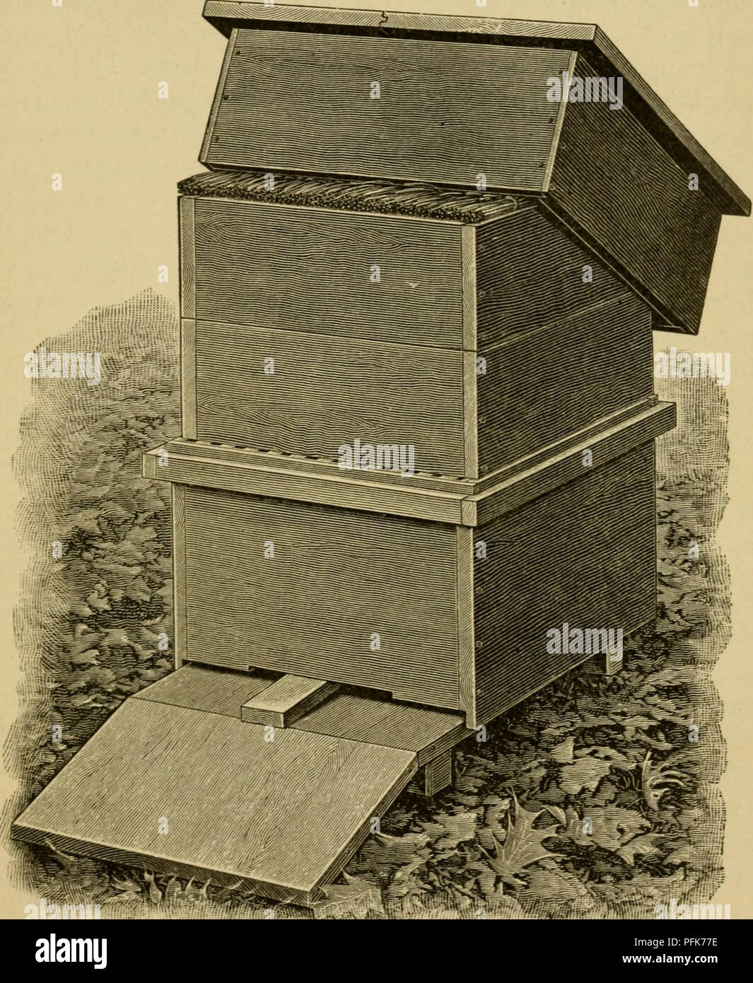 . Dadant system of beekeeping. Bees. DADAXT SYSTEM OF BEEKEEPING 67 are ...