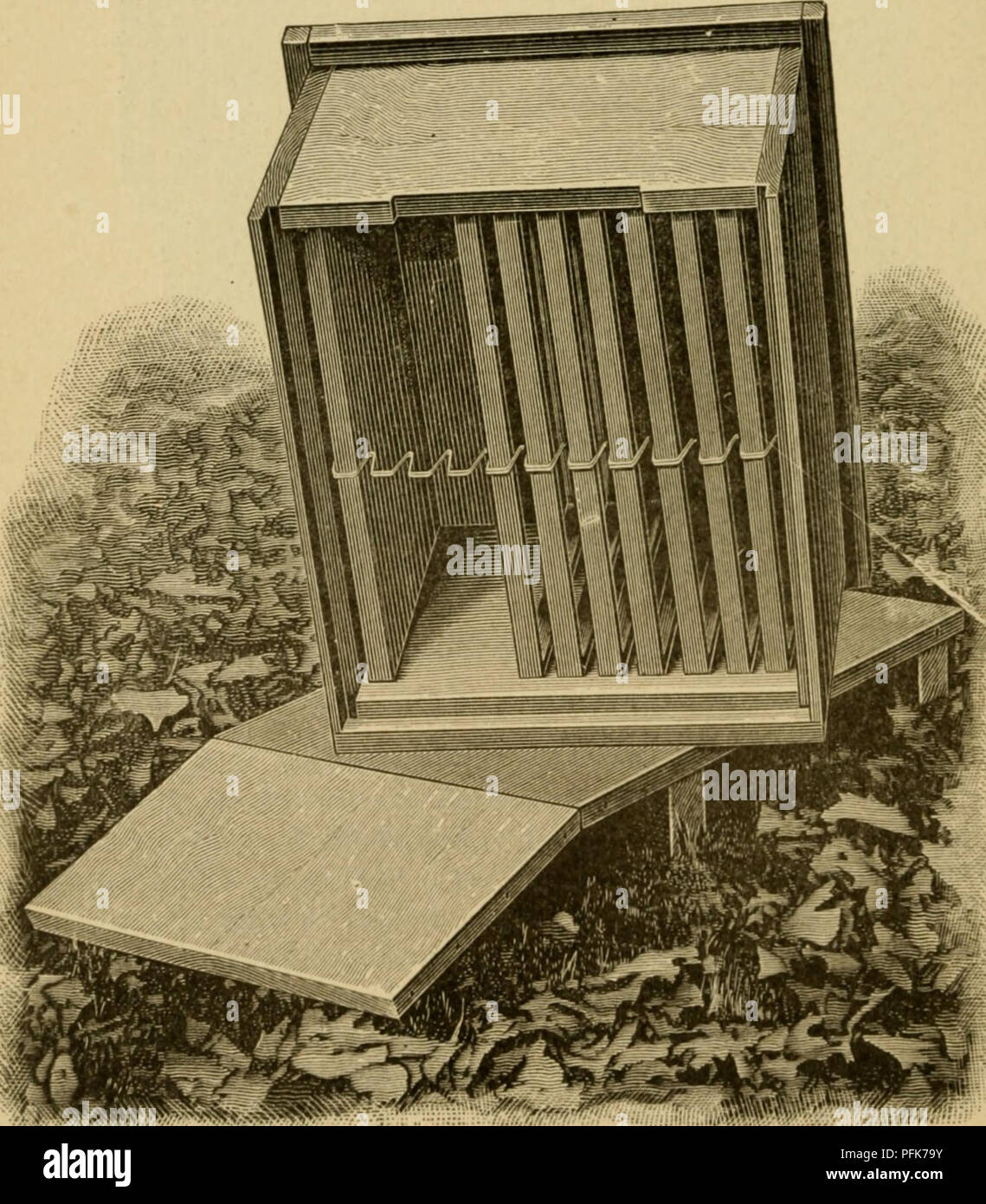 . Dadant system of beekeeping. Bees. 36 DADAXT SYSTEM OF BEEKEEPING the ...
