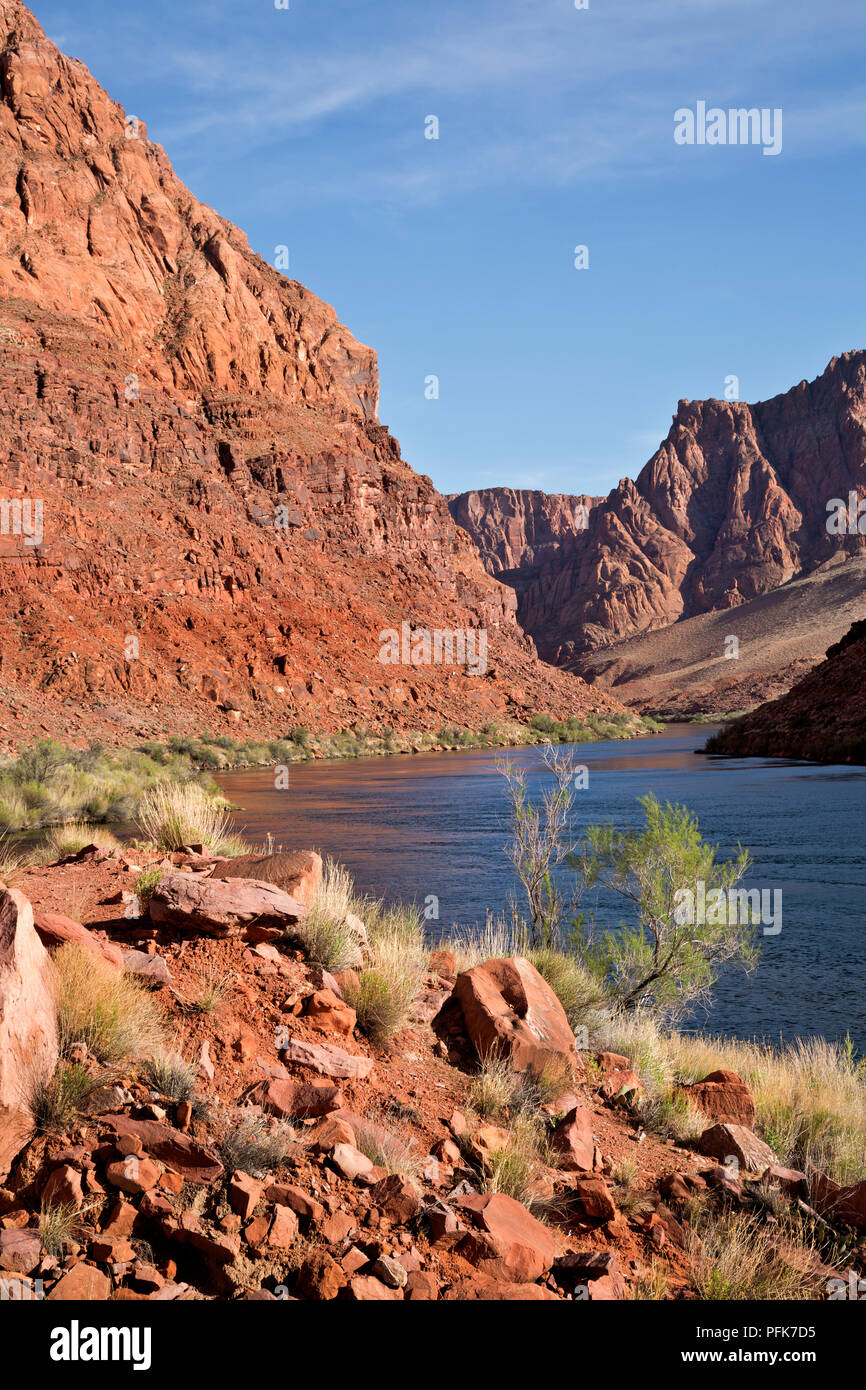 AZ00325-00...ARIZONA - The Colorado River at Lees Ferry, an historic ...