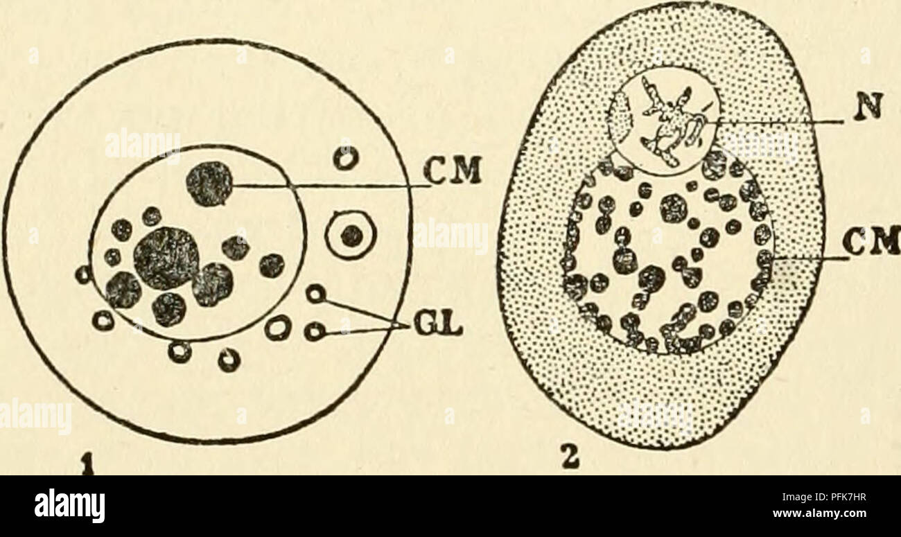 Flocculation hi-res stock photography and images - Alamy