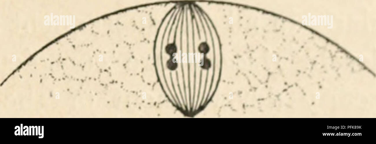 This work discusses cytology with a focus on the structure and function ...