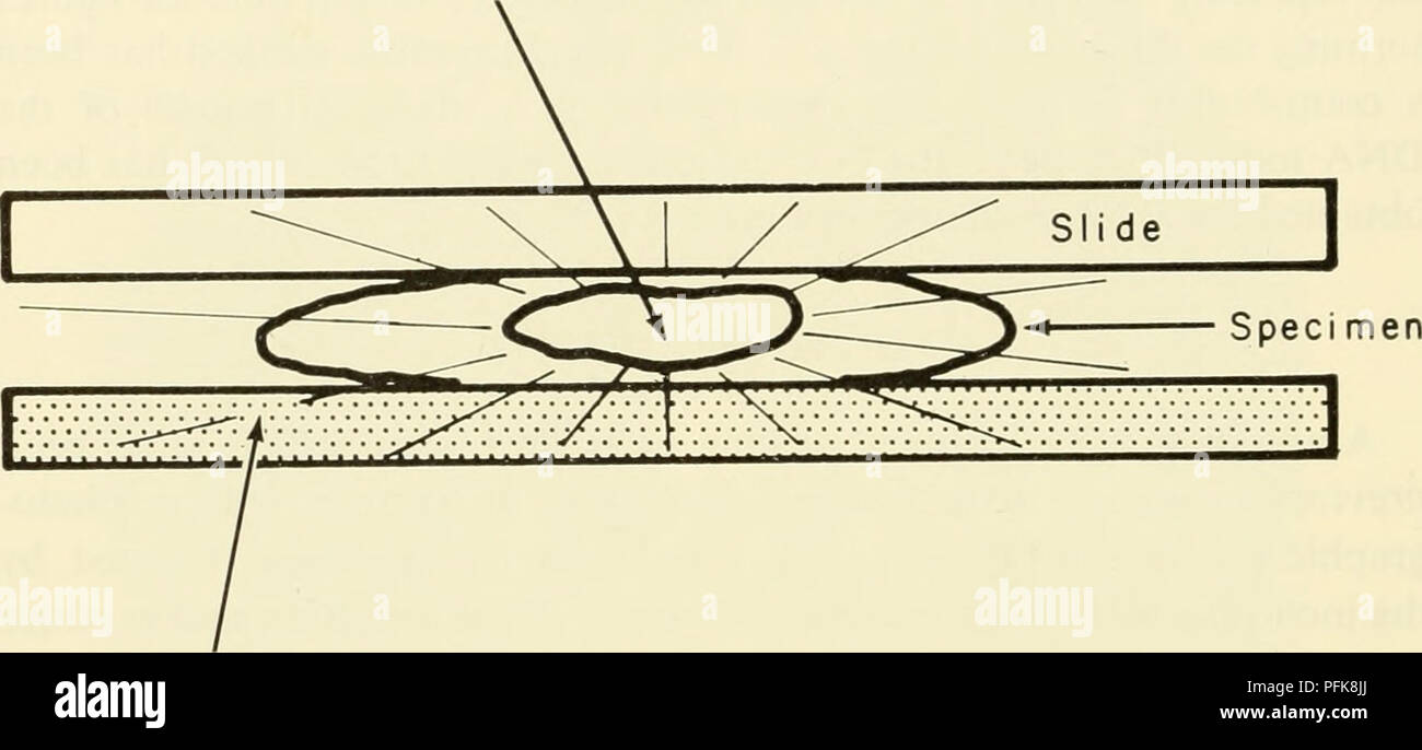 . Cytology. Cytology. There are three methods that are commonly used to ...
