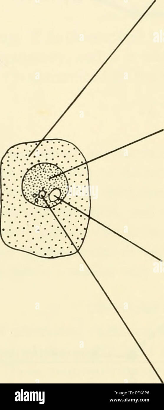 Absorption spectra hi-res stock photography and images - Alamy
