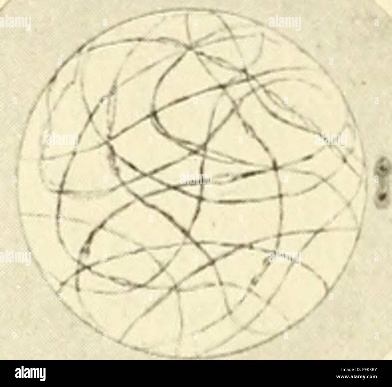 This work explores cytology, with a focus on the structure and function ...