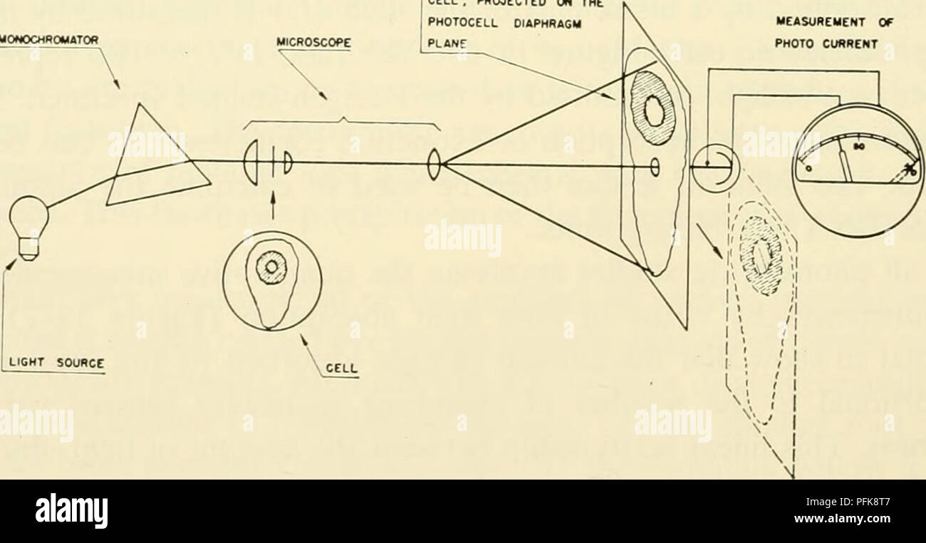 Micro spectrophotometry hi-res stock photography and images - Alamy