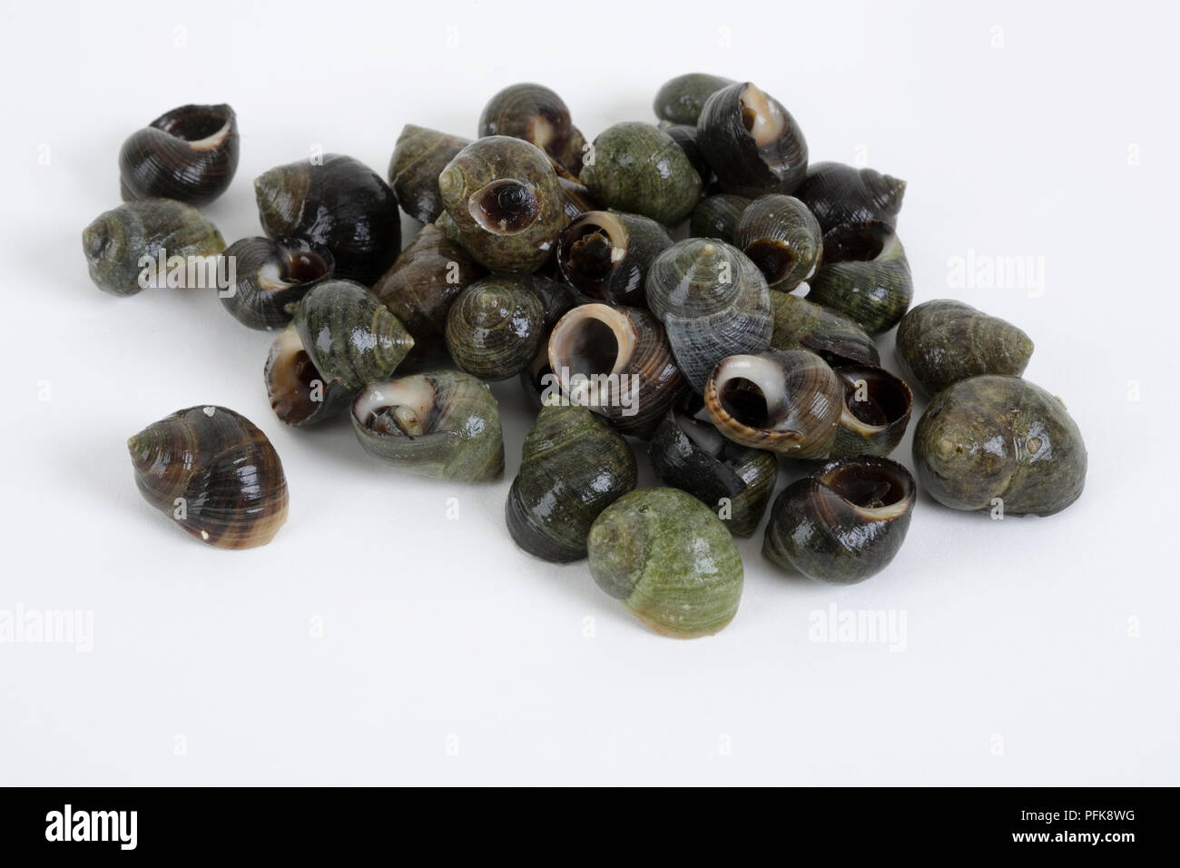 Winkles food hi-res stock photography and images - Alamy