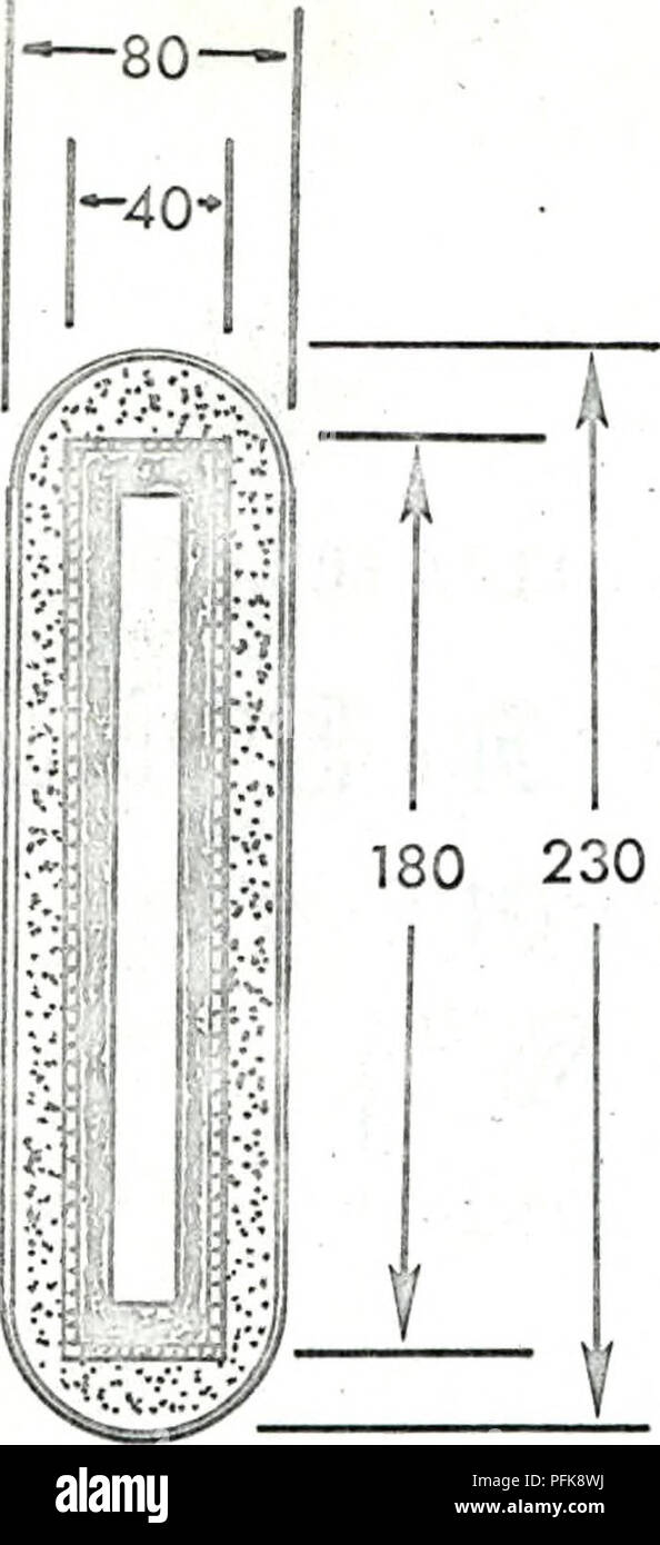 This study explores the cytopathology of the nuclear polyhedrosis virus ...