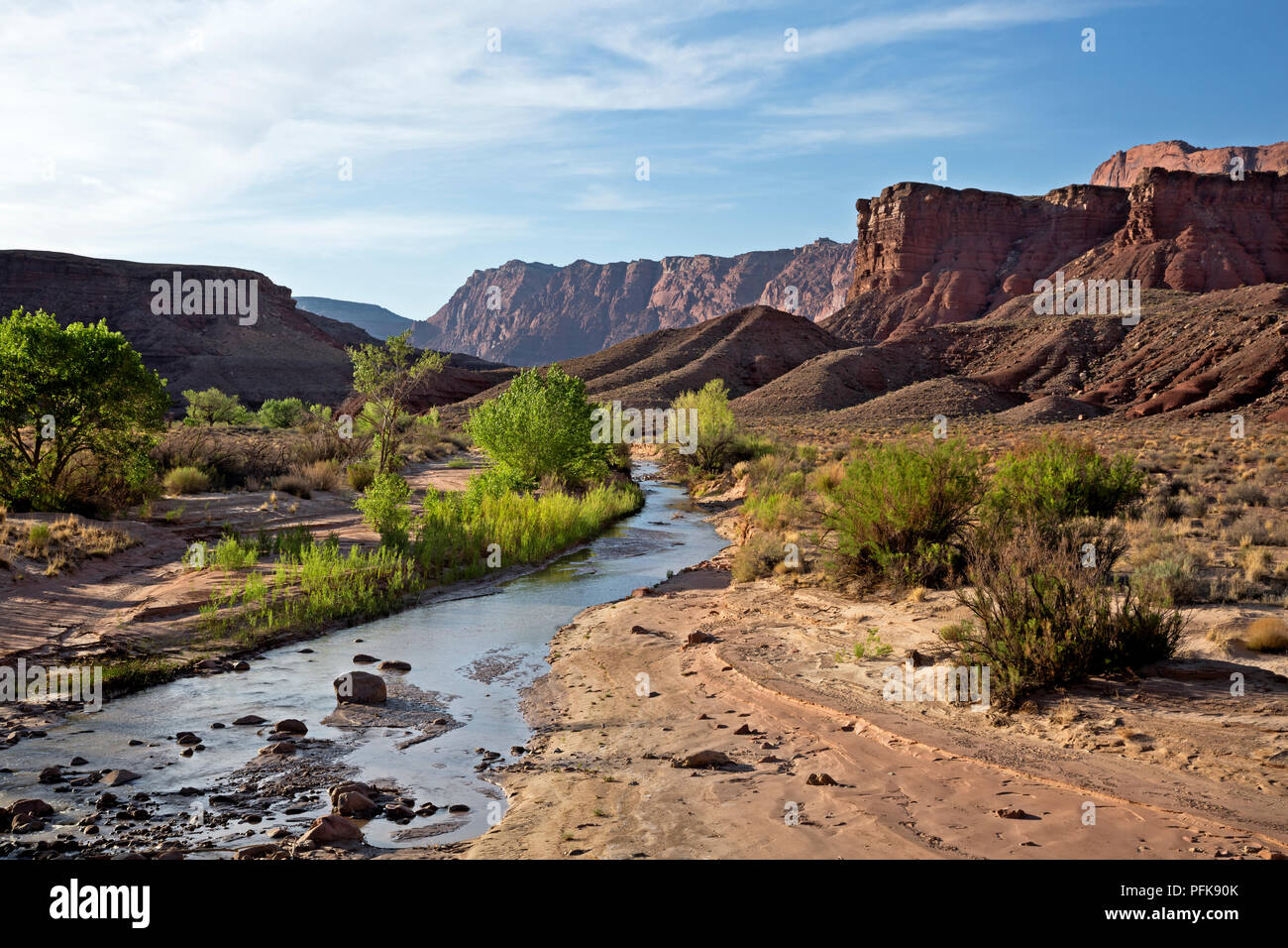 AZ00332-00...ARIZONA - The lower end of the Paria River as it passes ...