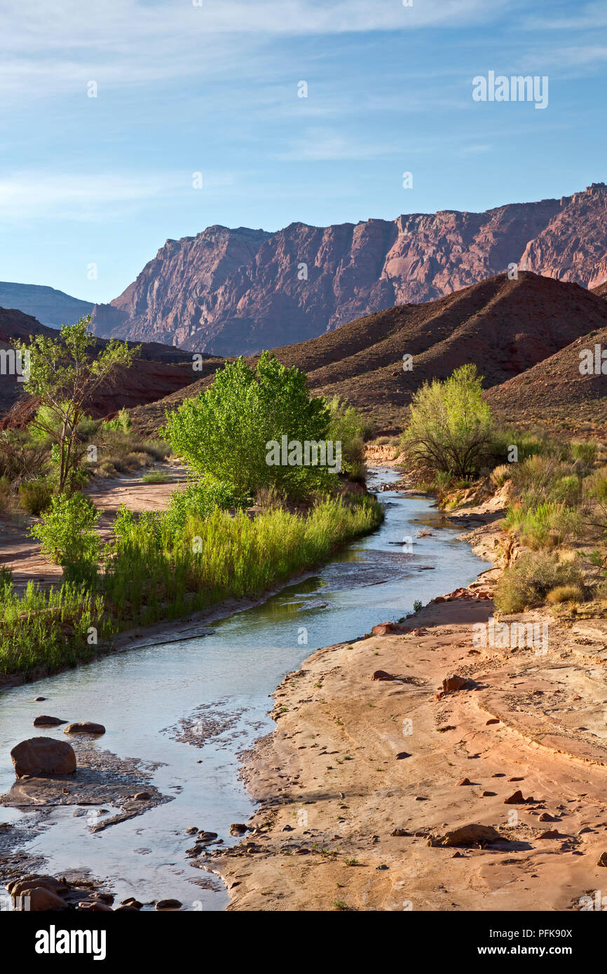 AZ00332-00...ARIZONA - The lower end of the Paria River as it passes ...