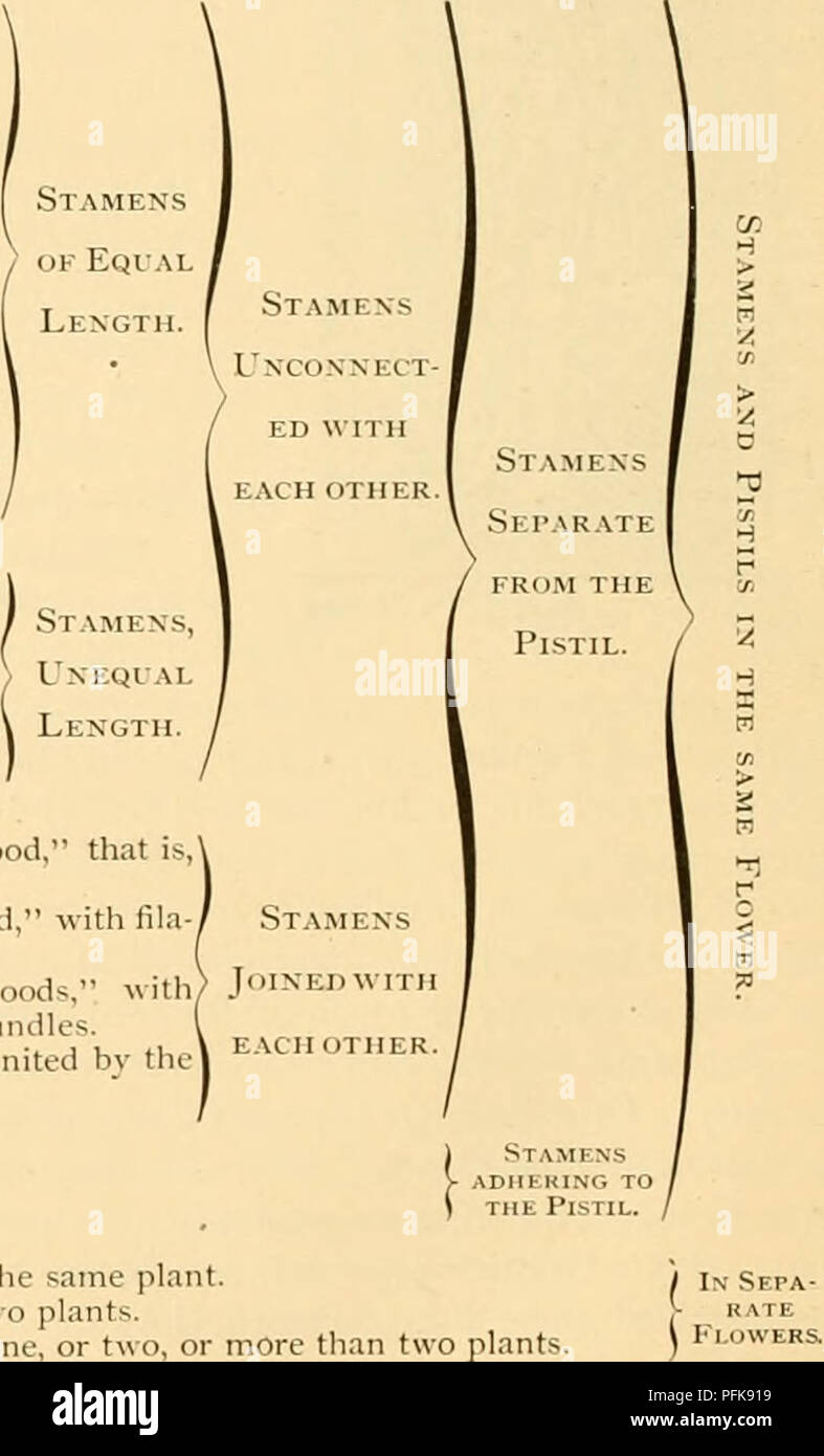 The Cyclopedia of Practical Floriculture focuses on flower cultivation ...