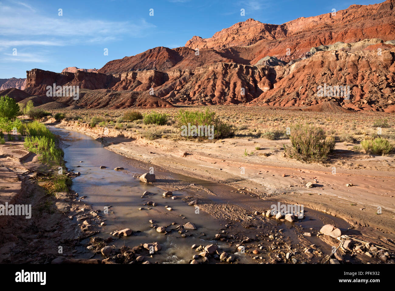 AZ00334-00...ARIZONA - The lower end of the Paria River as it passes ...