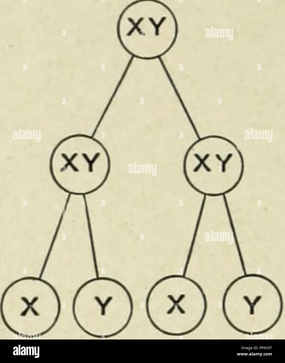 This work focuses on cytology, particularly the structure and function ...