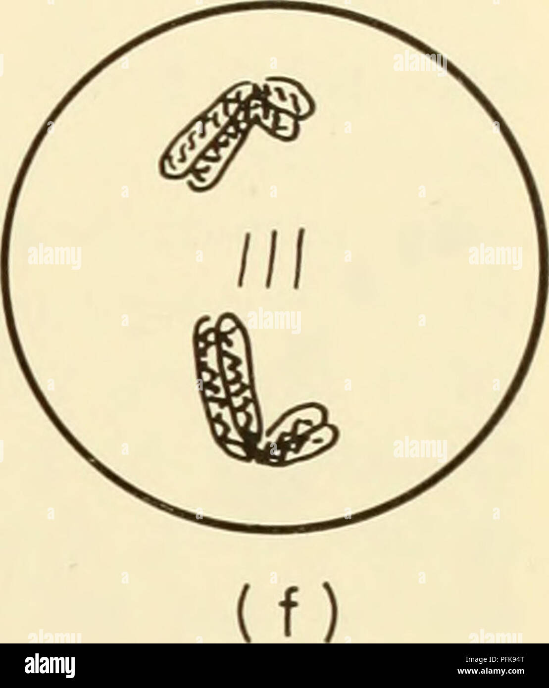 This cytology text provides an in-depth look at the study of cells ...