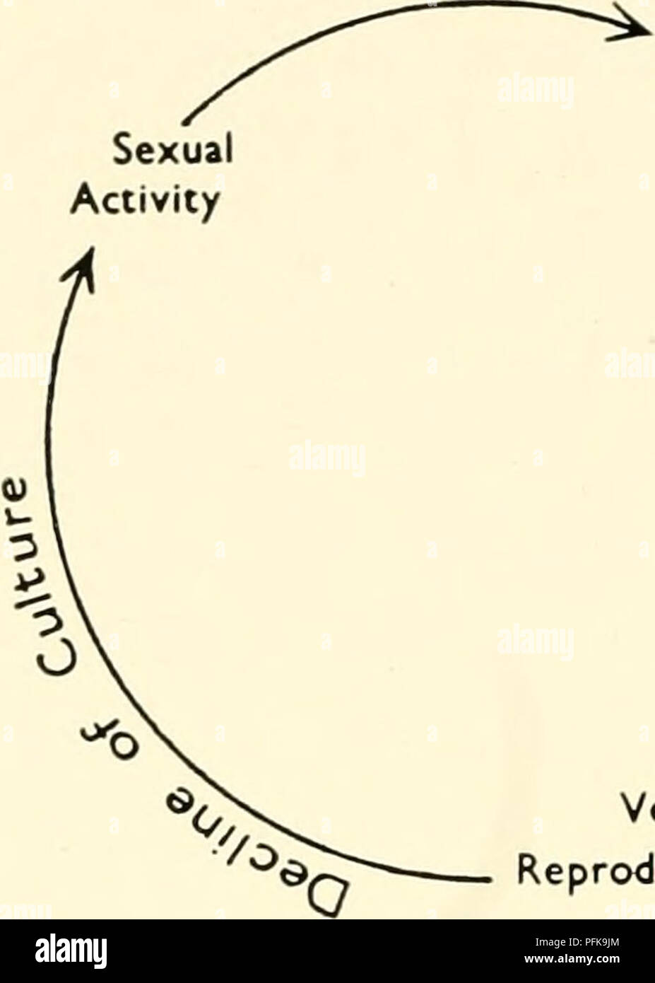 This illustration depicts the life-cycle stages of eubacteria and ...