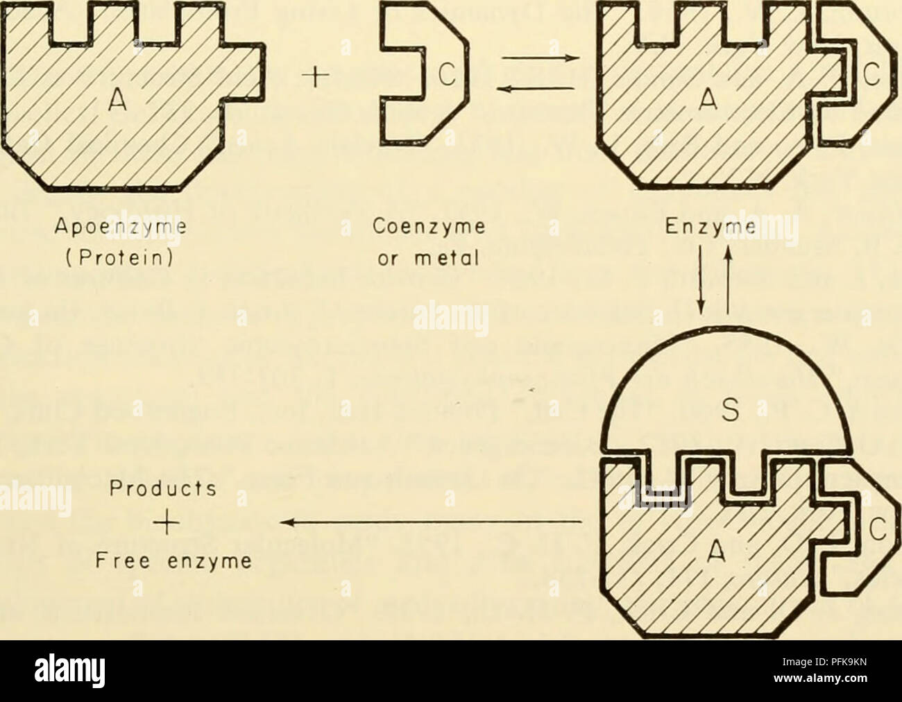 This work on cytology focuses on the essential role of metals like ...