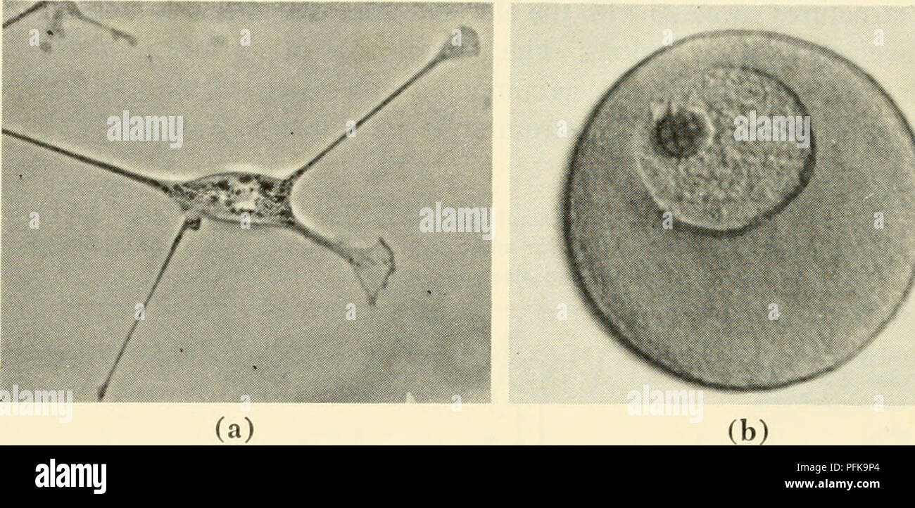 This textbook focuses on the study of cytology, the branch of biology ...