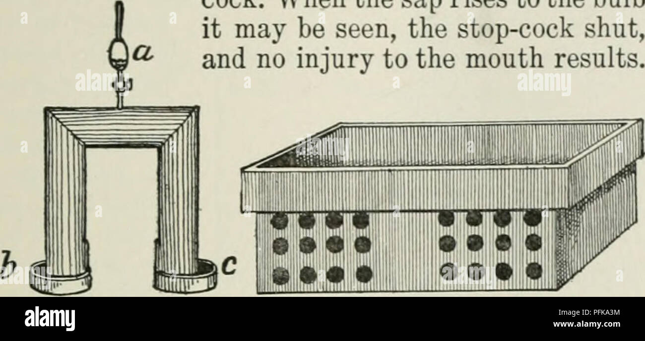 This image from a farming encyclopedia details the process of maple ...