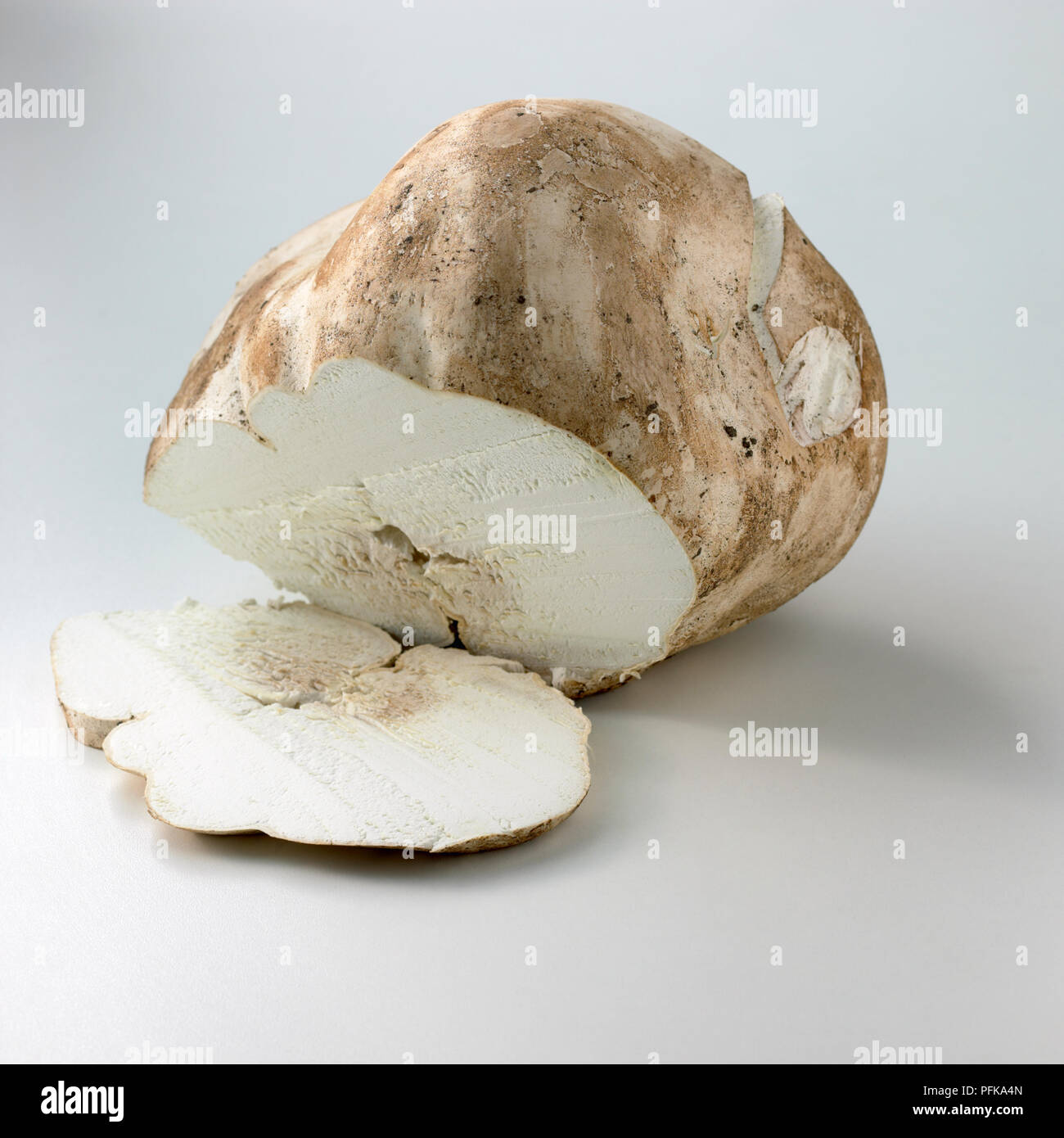 Large puffball hi-res stock photography and images - Alamy