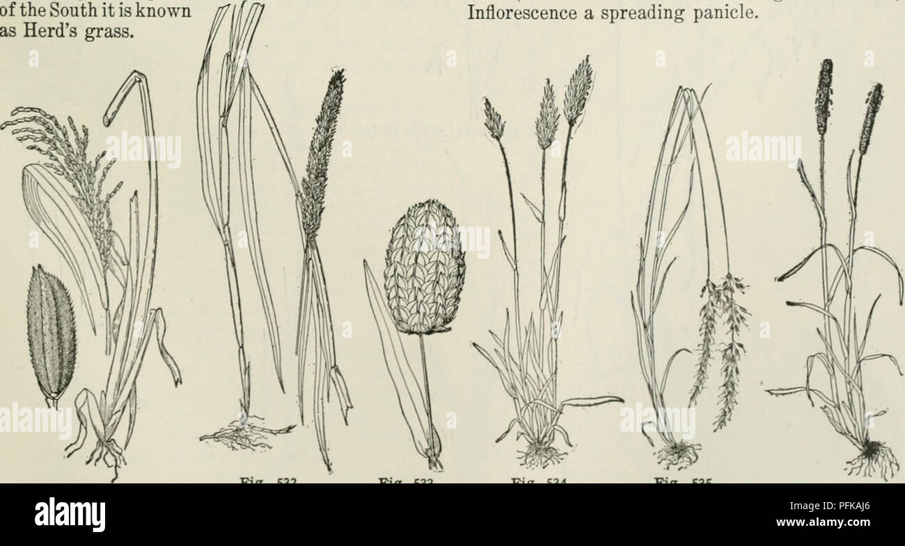 A comprehensive survey of farm crops across North America, detailing ...