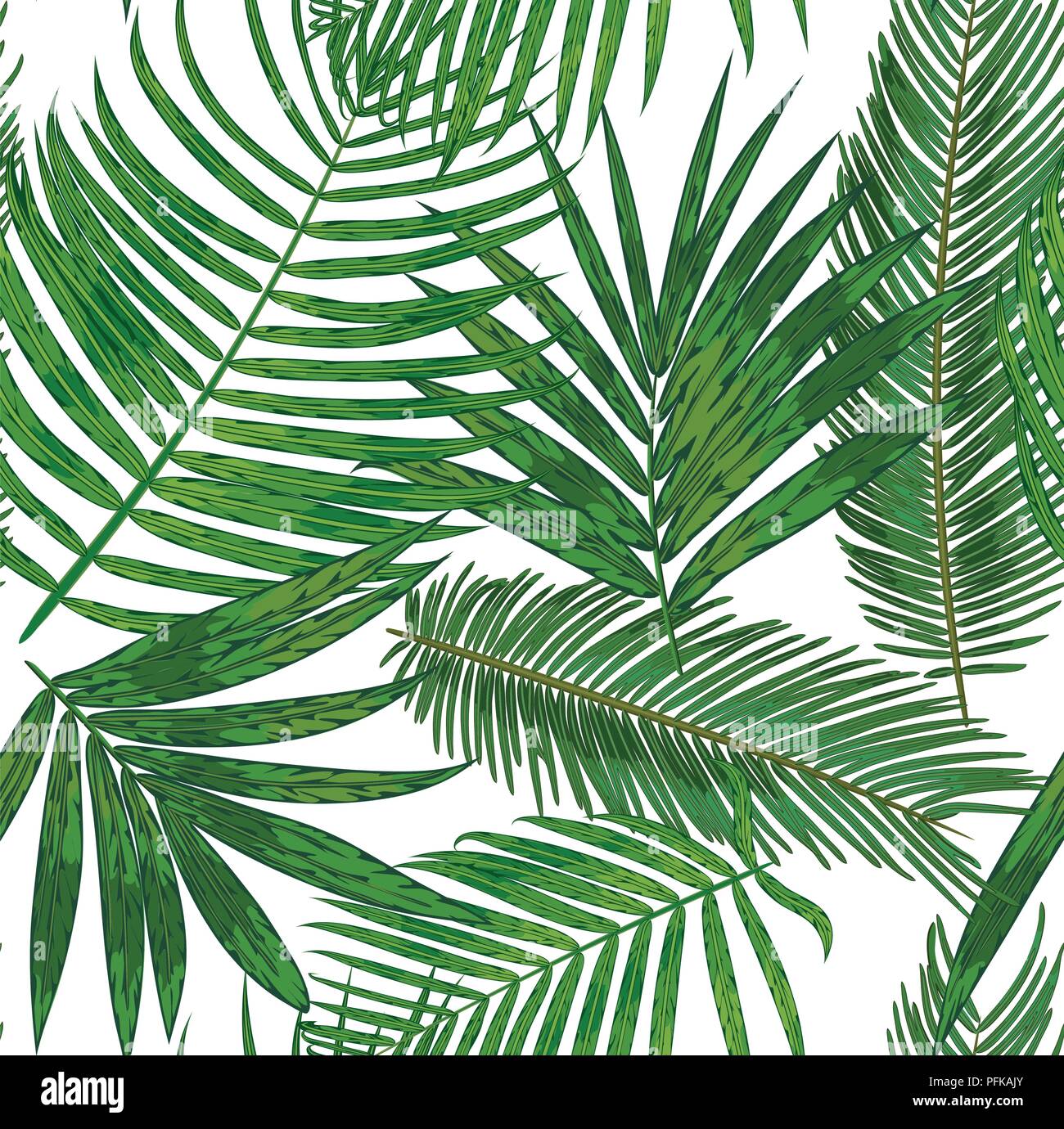 Vector Seamless pattern of tropical palm leaves. background of green ...