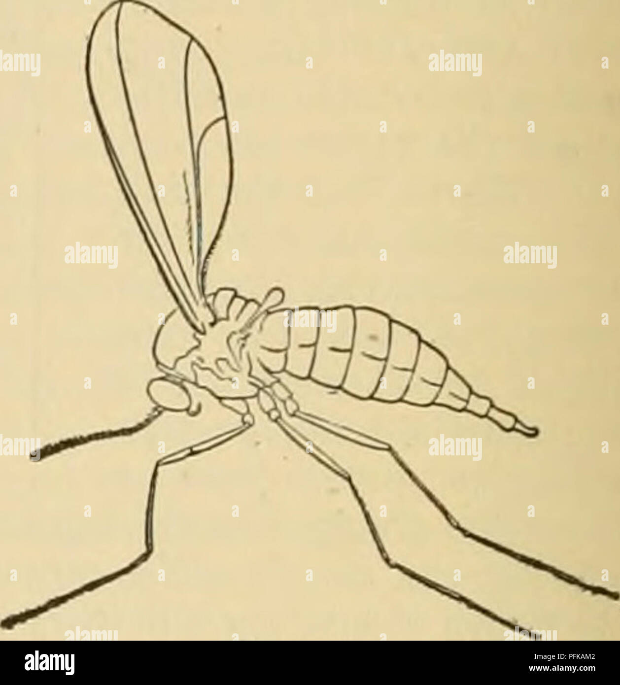 Ated view hi-res stock photography and images - Alamy