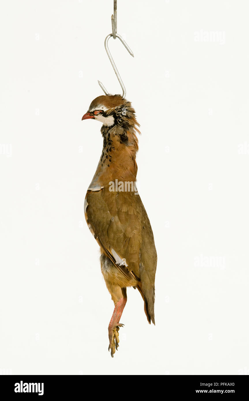 Dead metal hi-res stock photography and images - Alamy