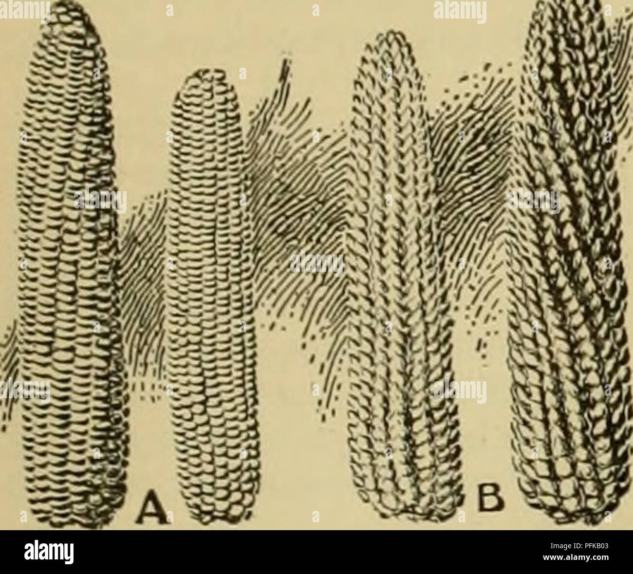 This agricultural reference covers various crops grown on farms, with a ...