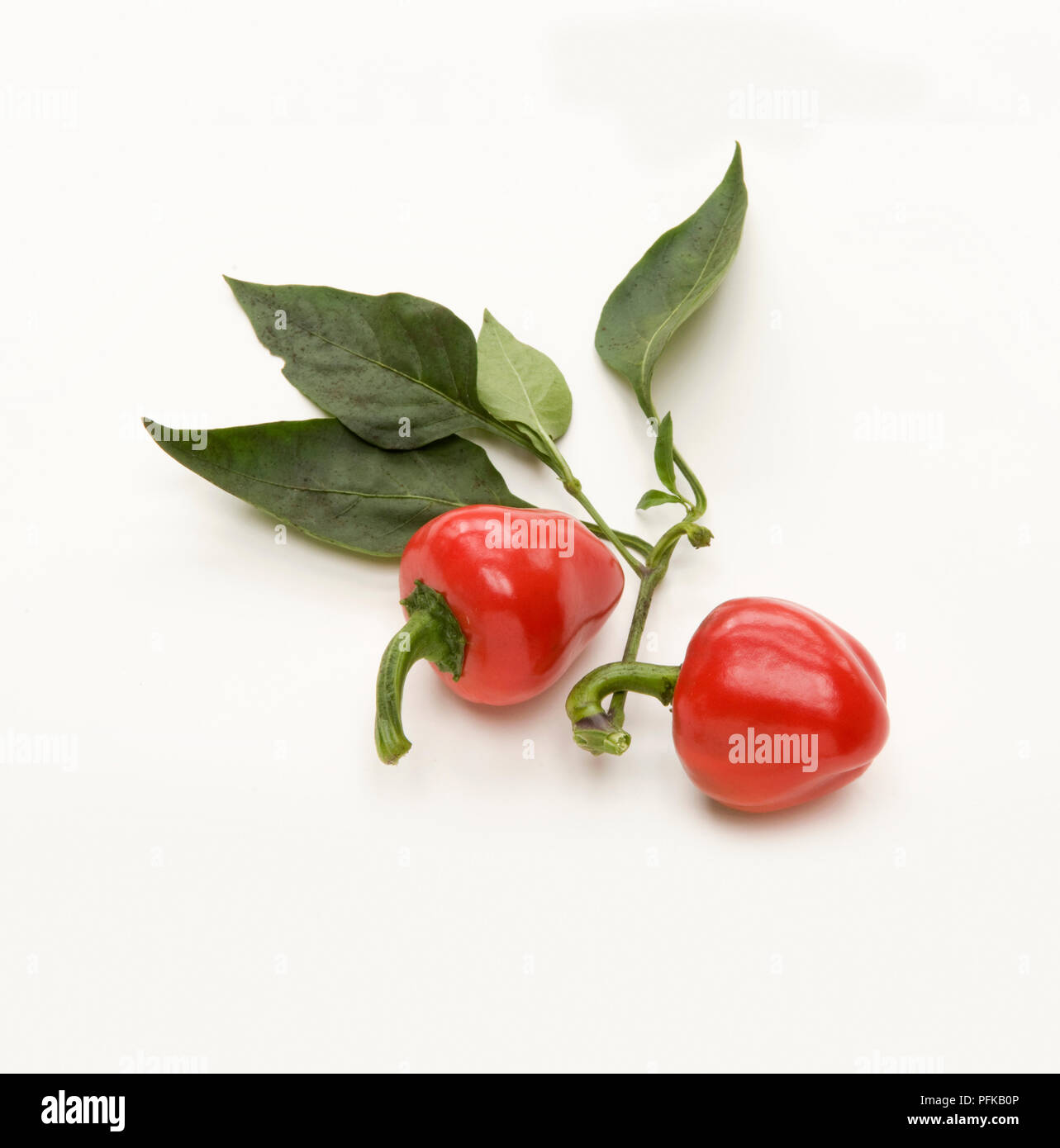 Cherry bomb hi-res stock photography and images - Alamy