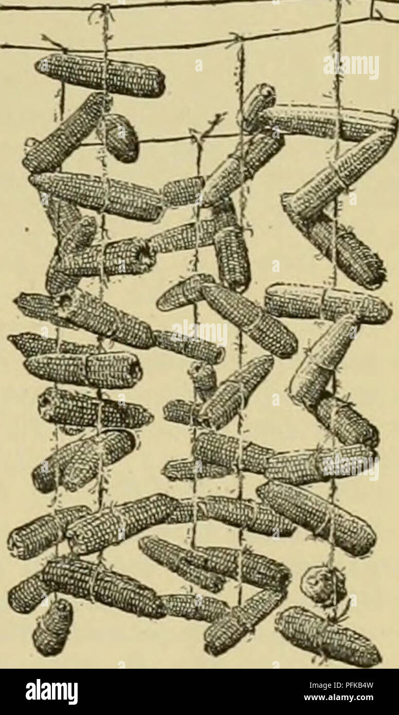 Seneca indians hi-res stock photography and images - Alamy