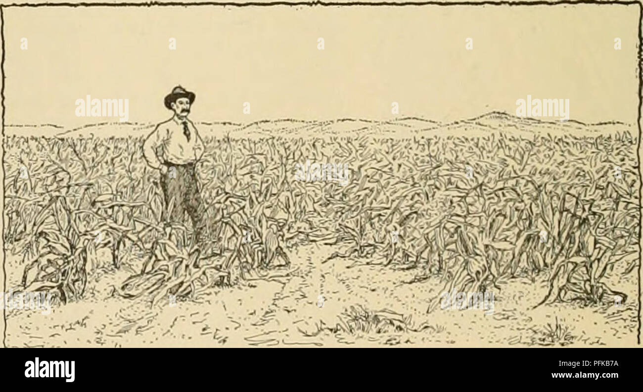 This encyclopedia covers various aspects of farm crops, including the ...