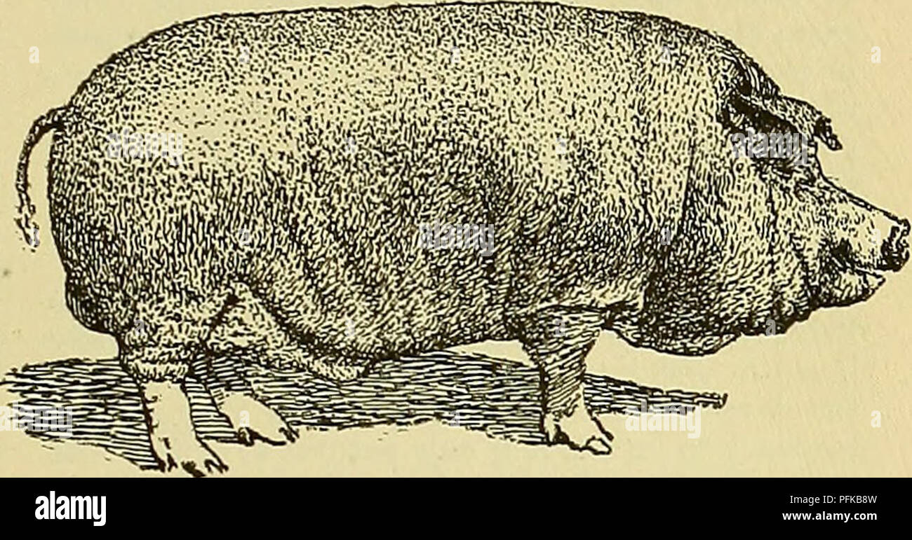 Byfield village hi-res stock photography and images - Alamy