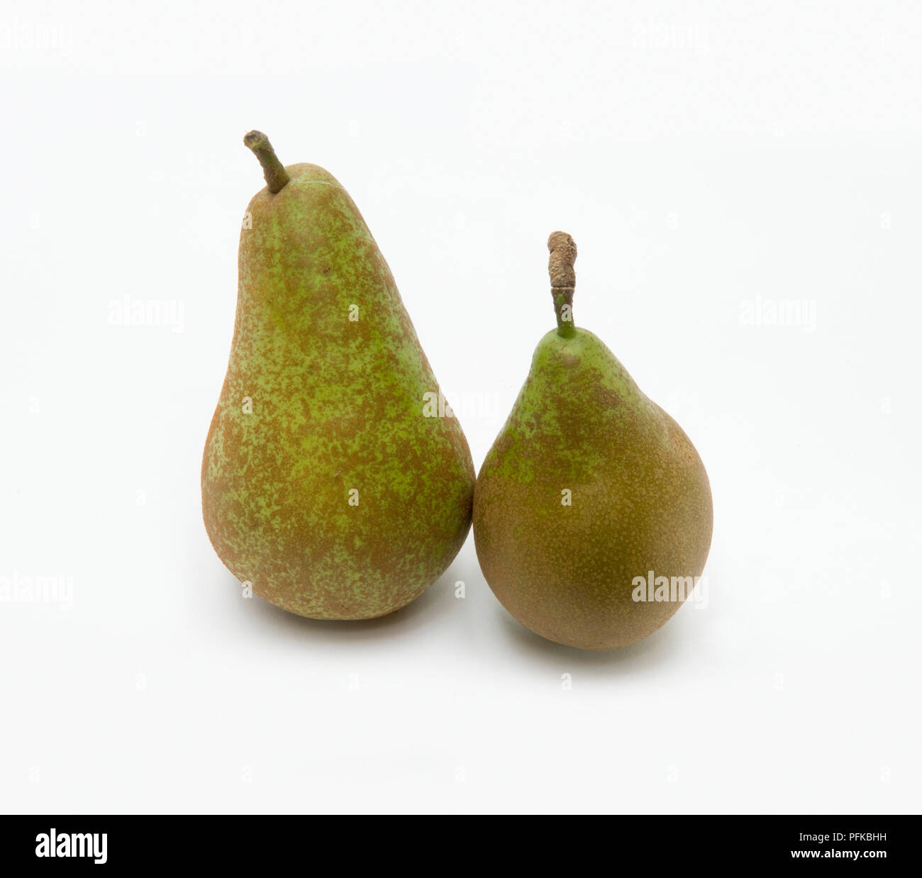 Pear Concorde Stock Photos & Pear Concorde Stock Images - Alamy