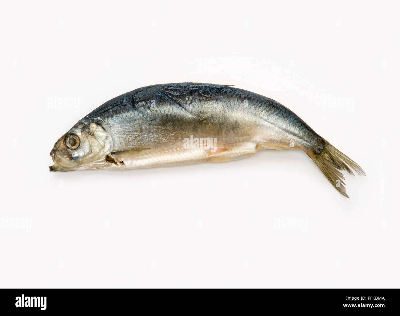 Kipper, side view Stock Photo - Alamy