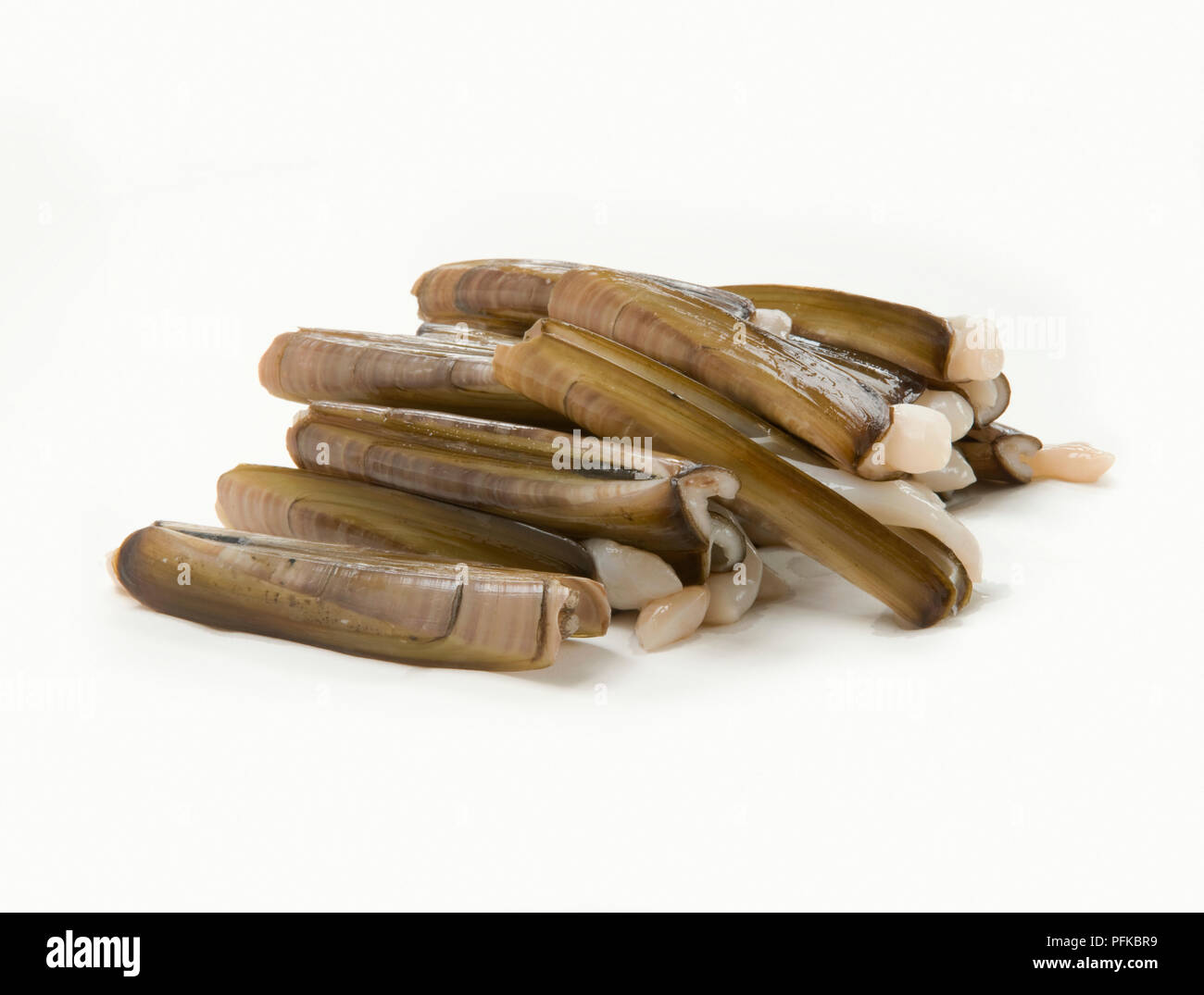 Razor clam shell Cut Out Stock Images & Pictures - Alamy