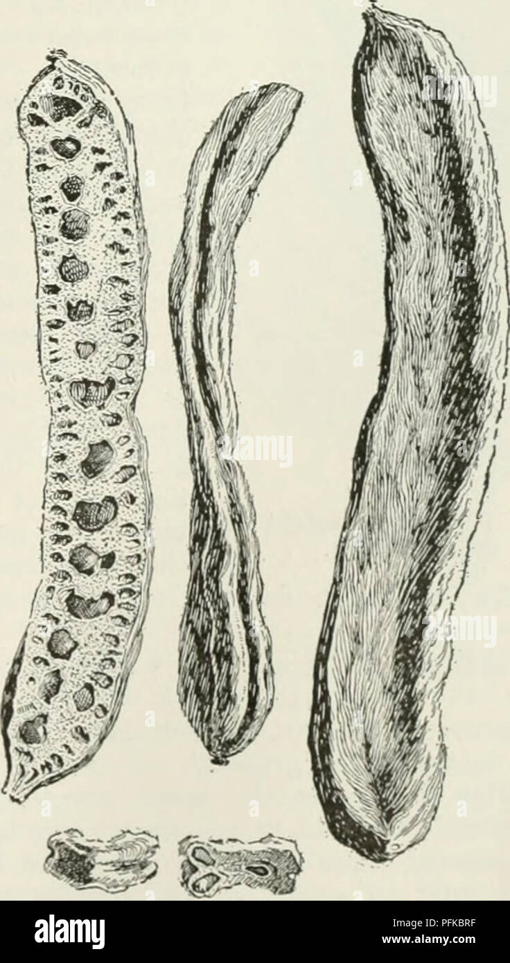 An overview of farm crops in North America, including detailed ...