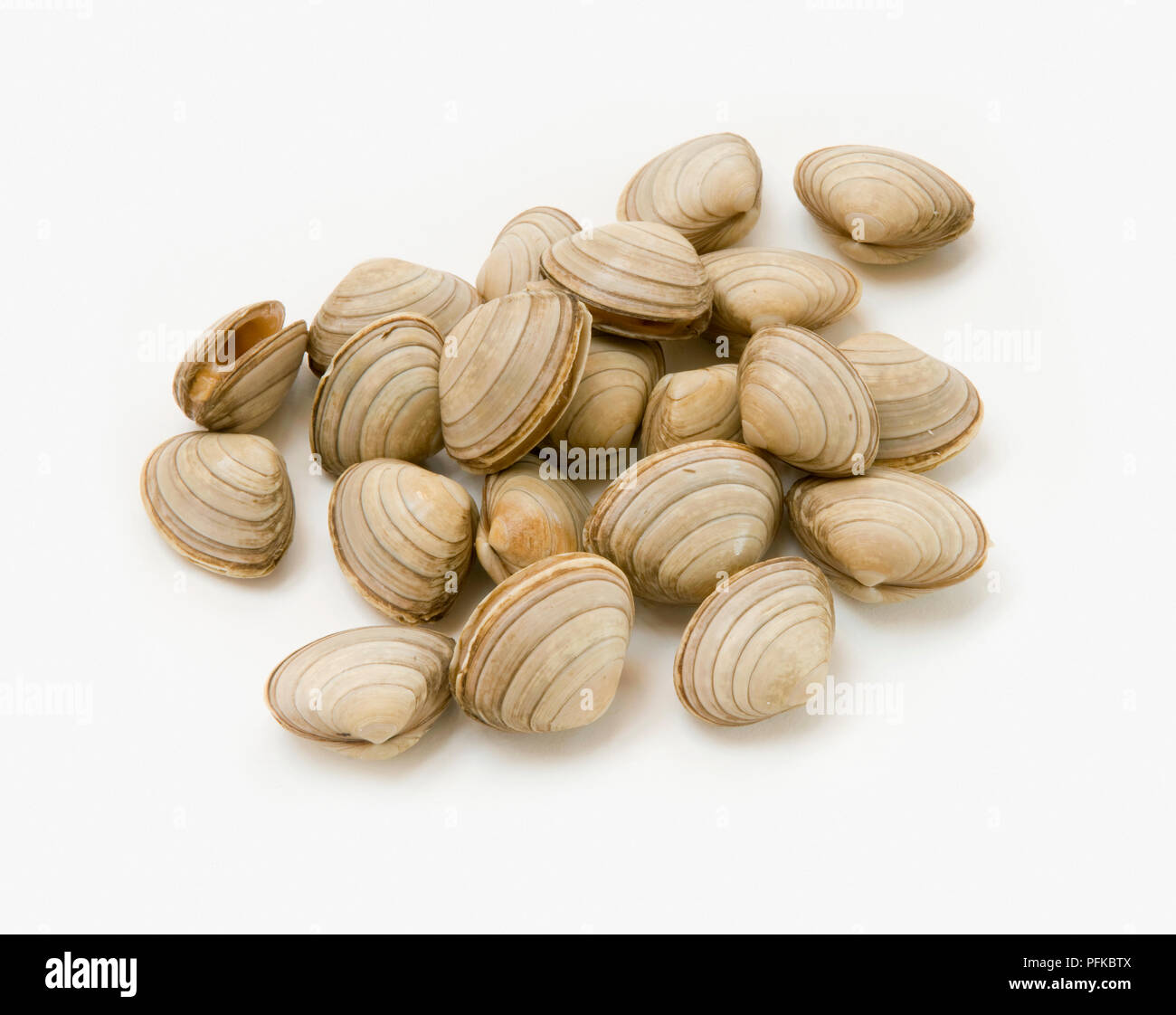 Clam shell large hi-res stock photography and images - Alamy