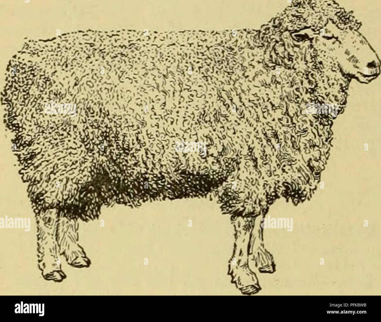 This cyclopedia provides an in-depth look at farm animals, including ...