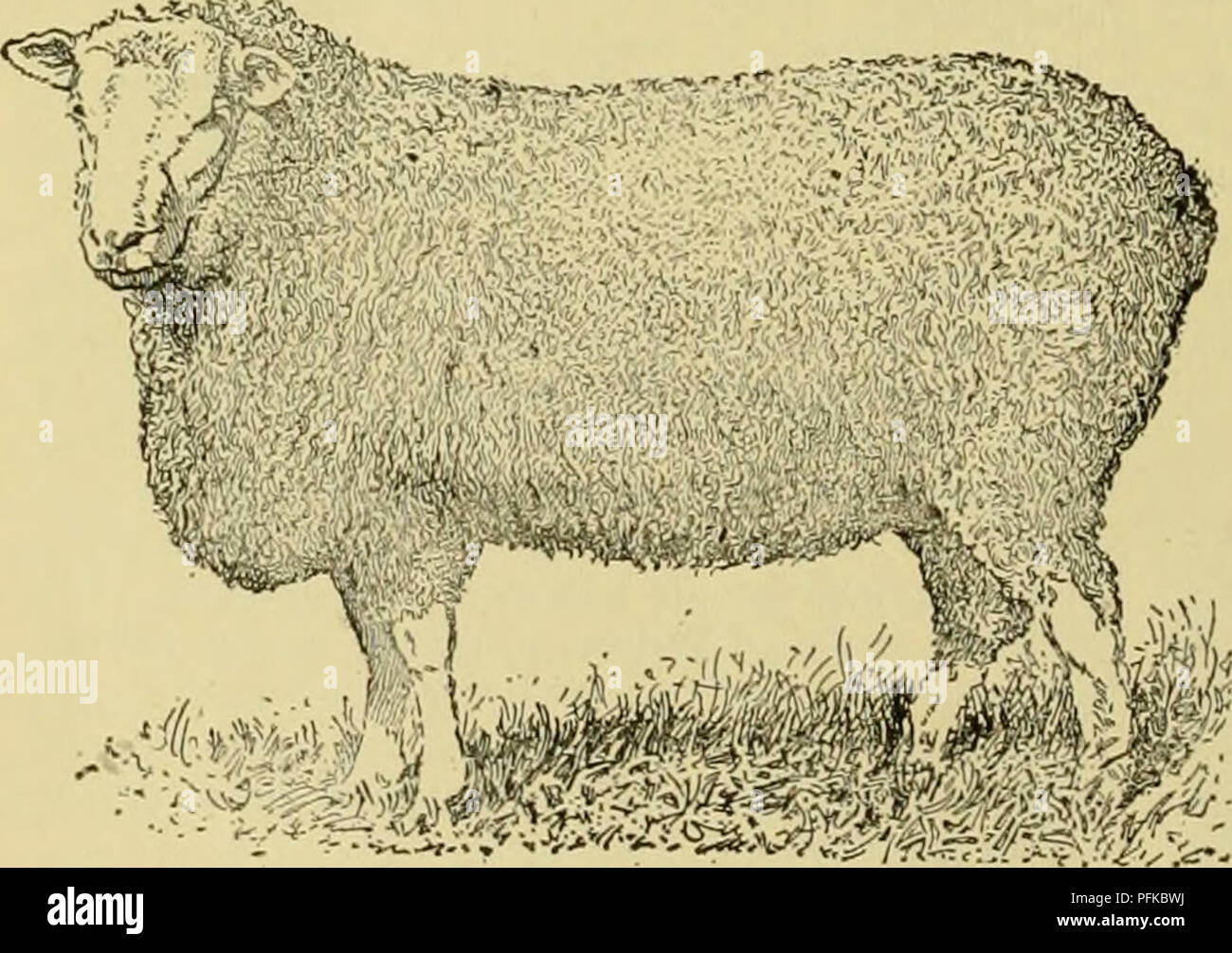 This cyclopedia provides comprehensive details on various farm animals ...