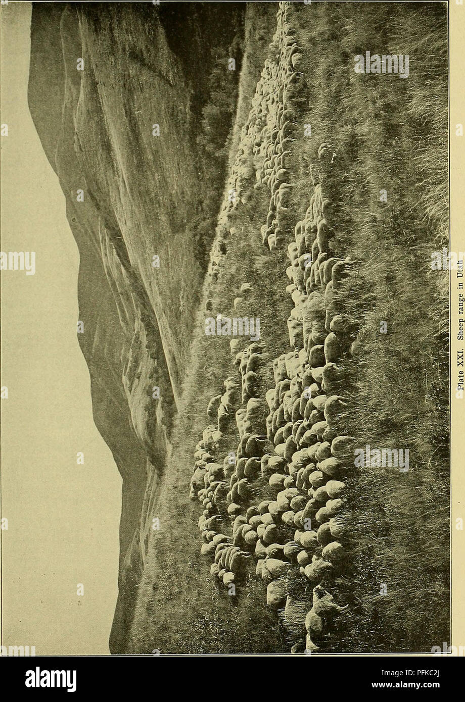 The Cyclopedia of Farm Animals is a comprehensive reference work on ...