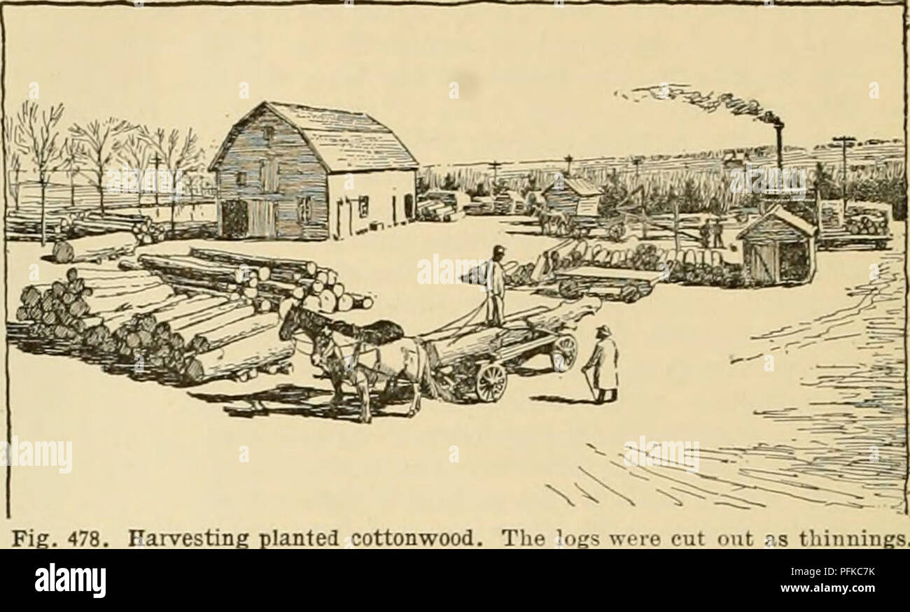 This entry from the *Cyclopedia of Farm Crops* details various aspects ...