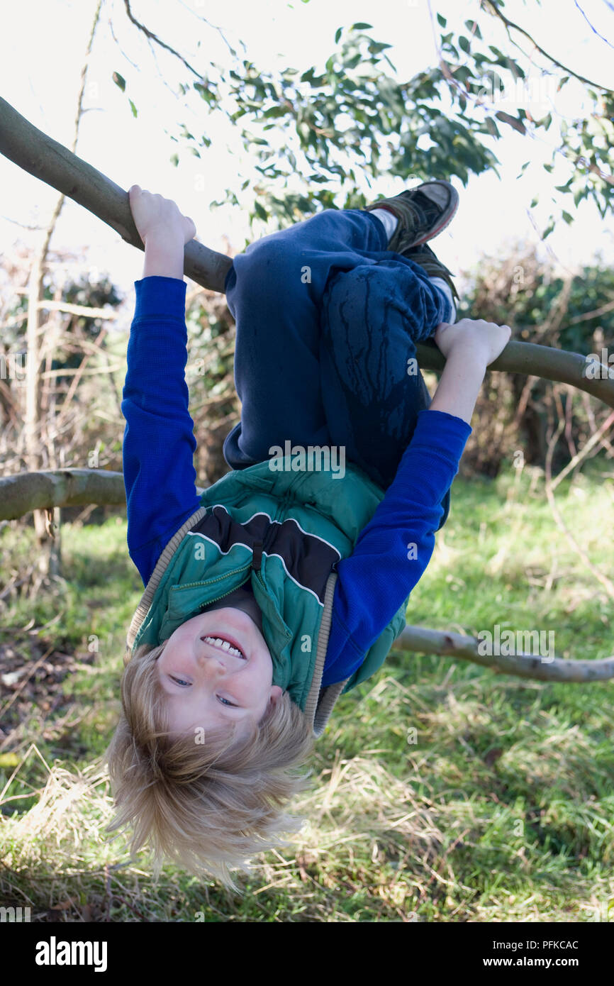 Boy hanging upside down from tree branch, close-up, front view Stock ...
