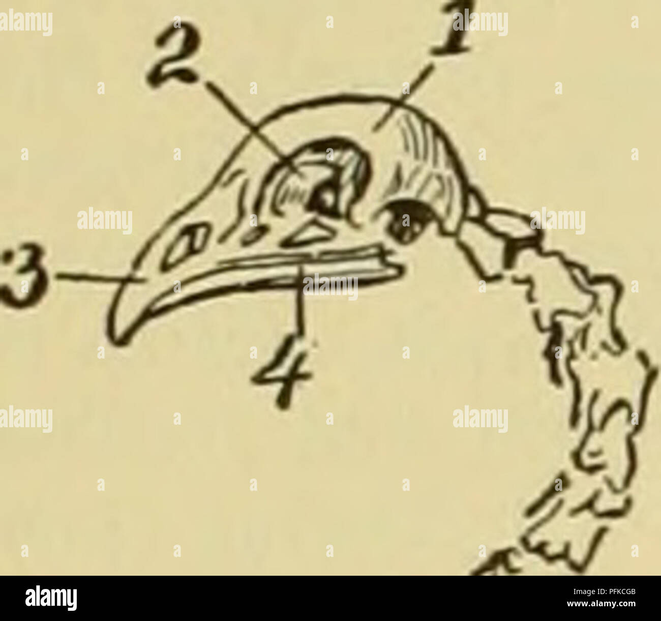 Combina tion hi-res stock photography and images - Alamy