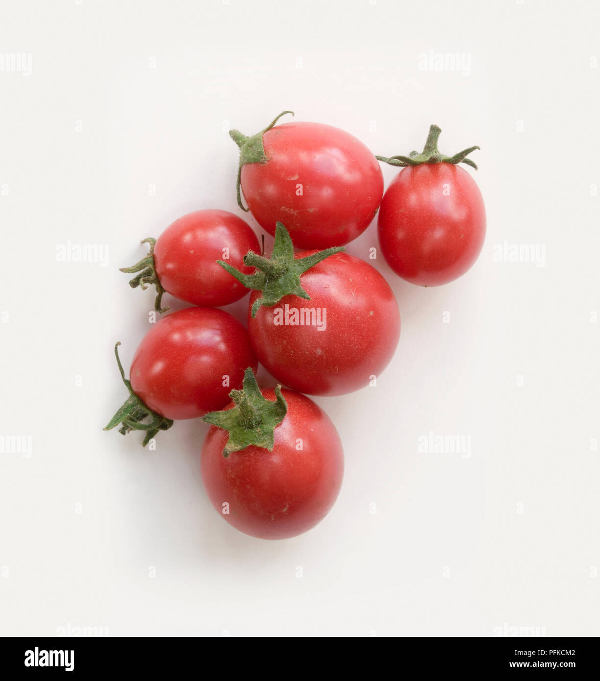 Whipper hi-res stock photography and images - Alamy