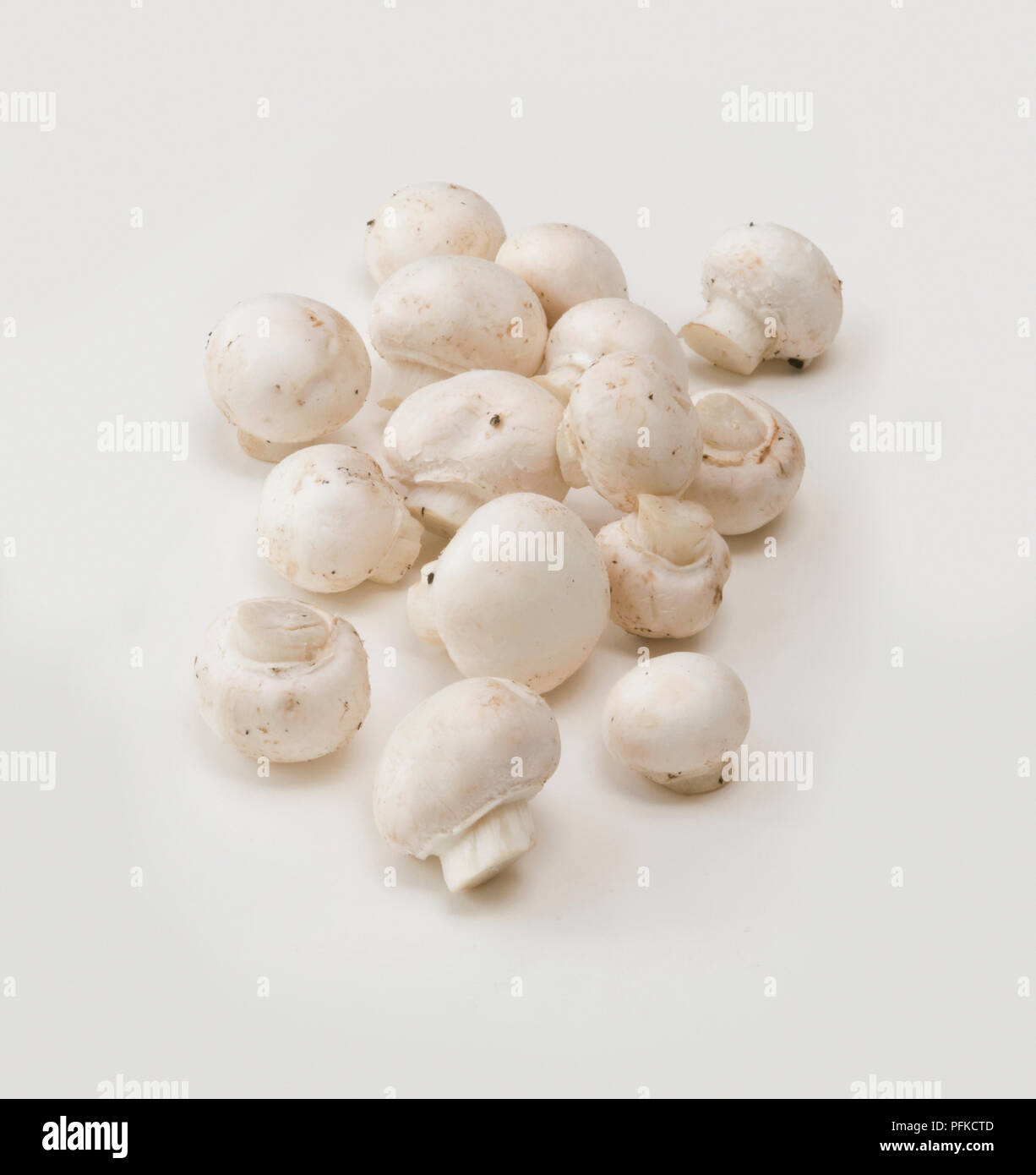 Botany agaricus hi-res stock photography and images - Alamy