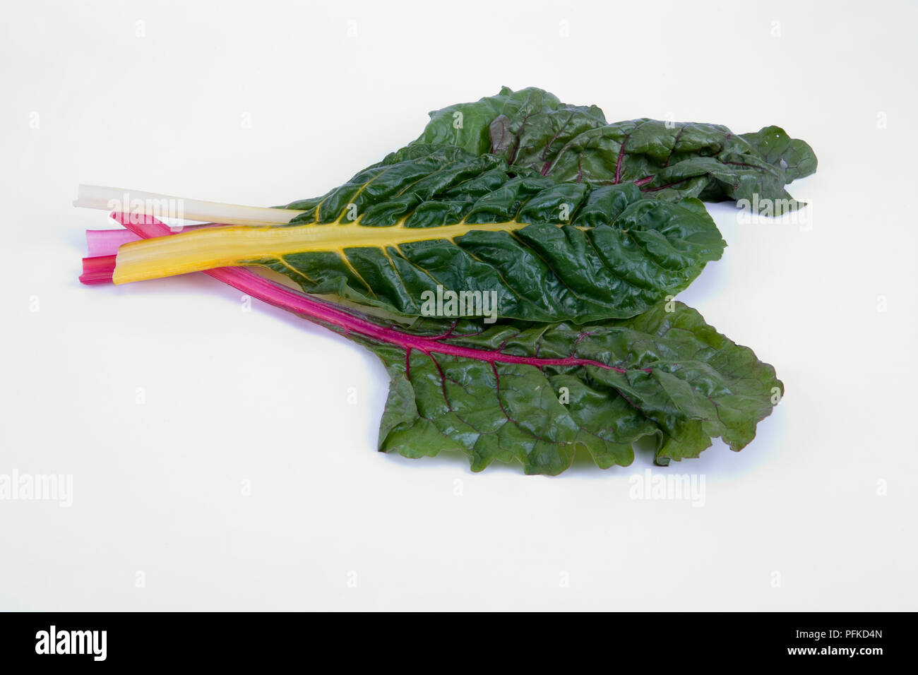 Beta vulgaris var hi-res stock photography and images - Alamy